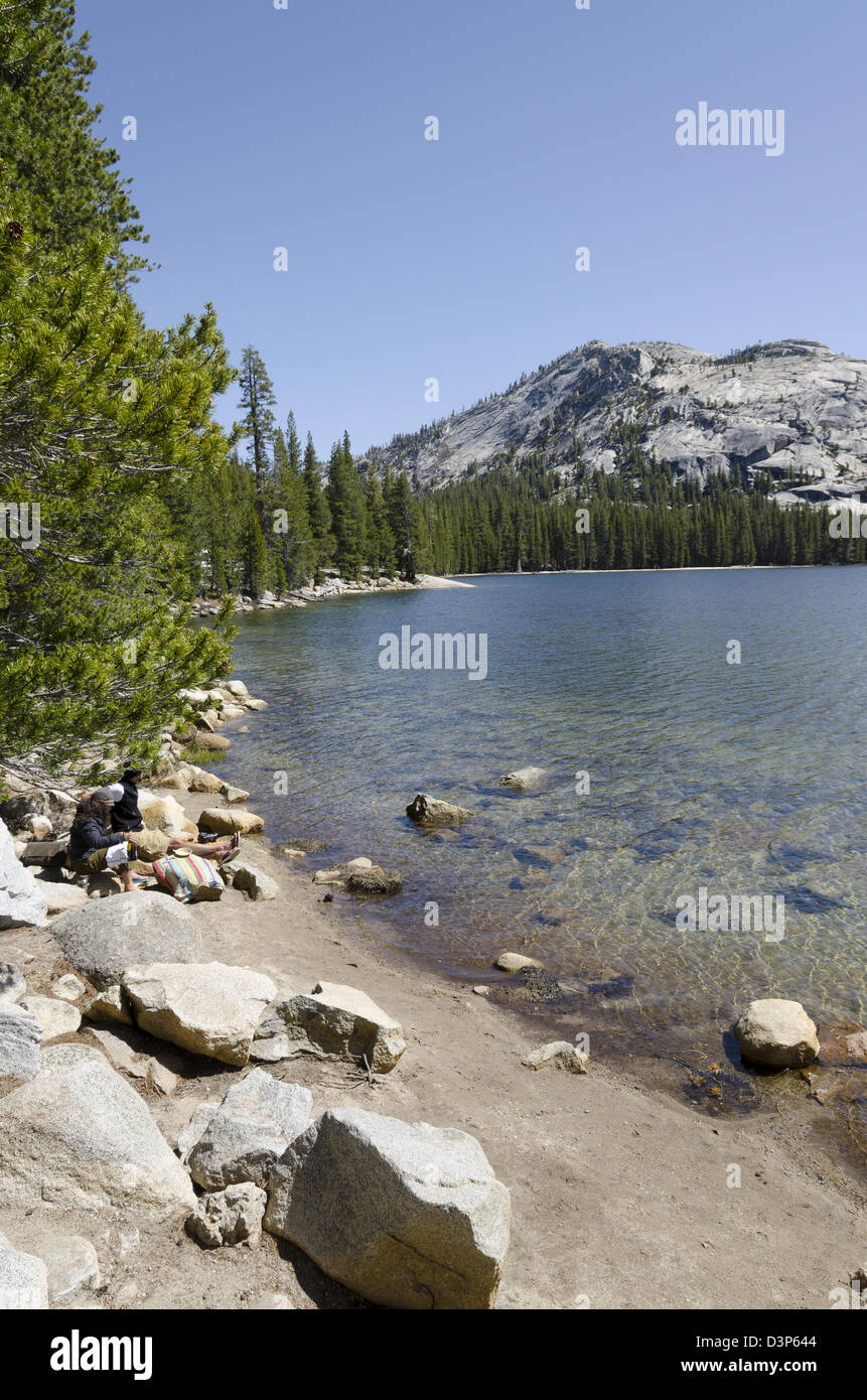 Yesemite landscape hi-res stock photography and images - Alamy