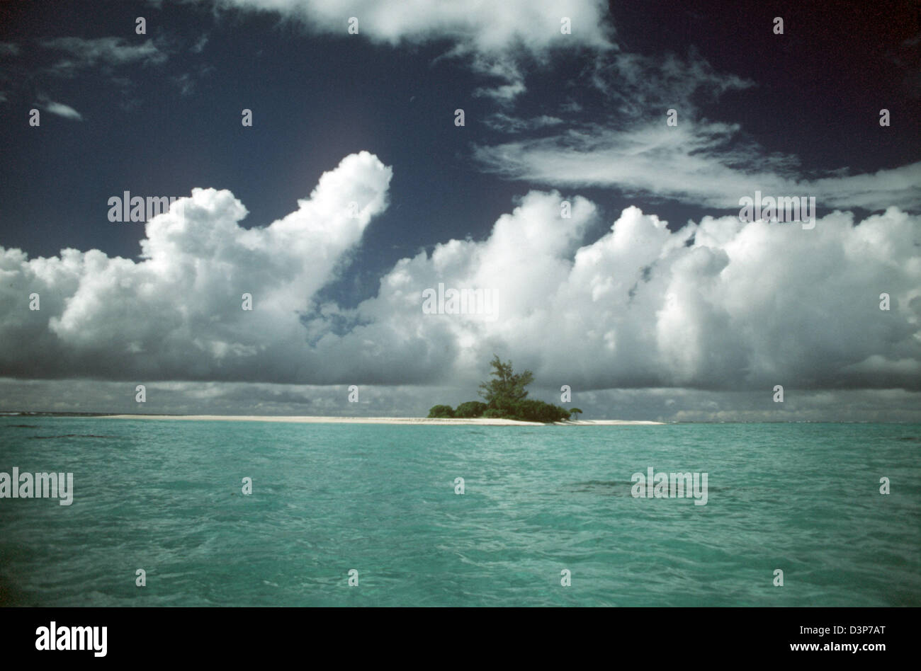 The picture shows the view onto an small overgrown island located at ...