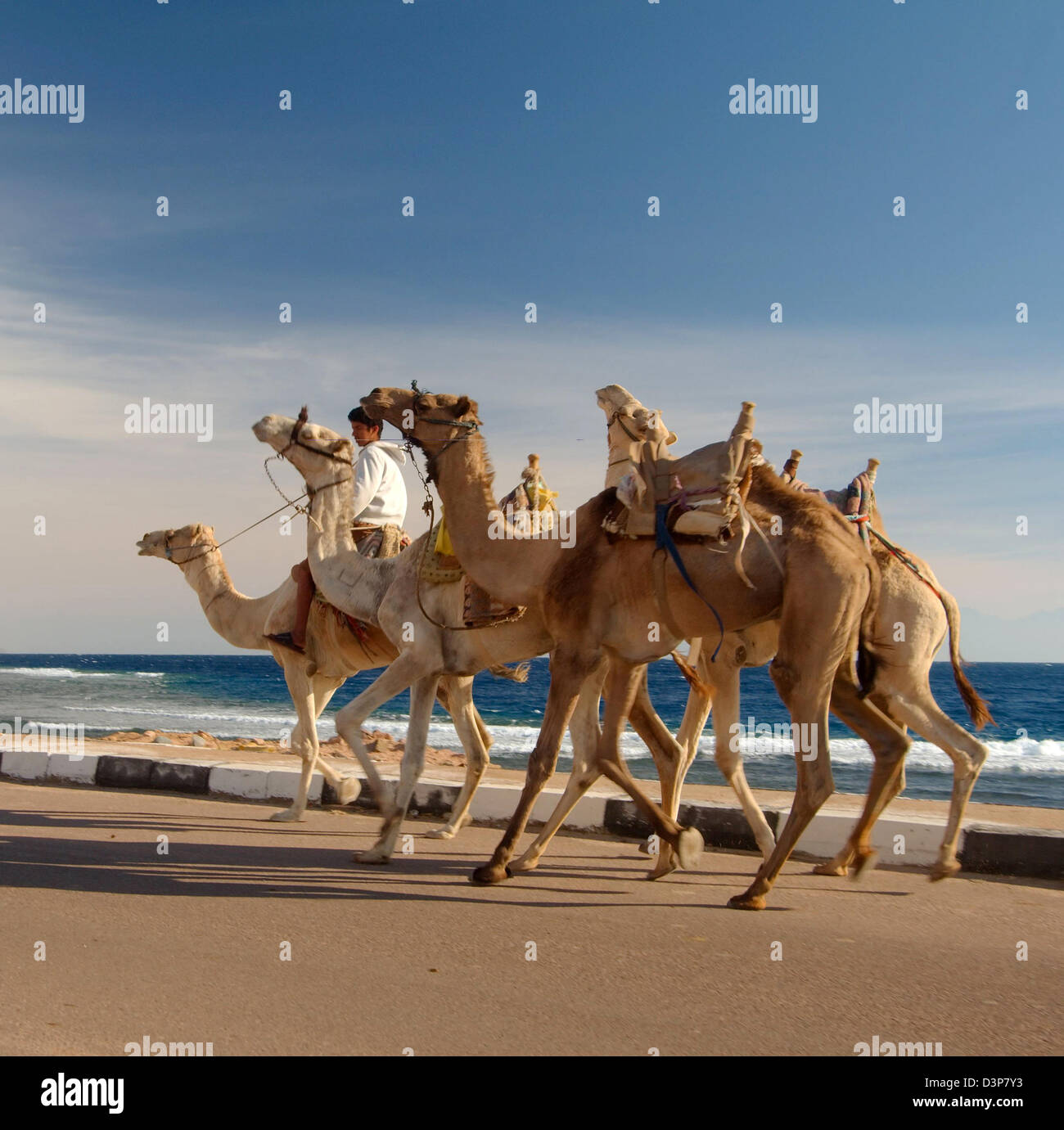 Arabian sea photos hi-res stock photography and images - Alamy