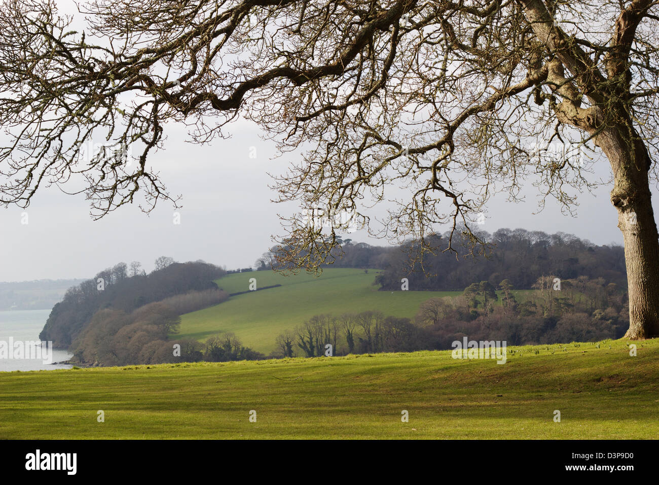 Cornwall countryside hi-res stock photography and images - Alamy