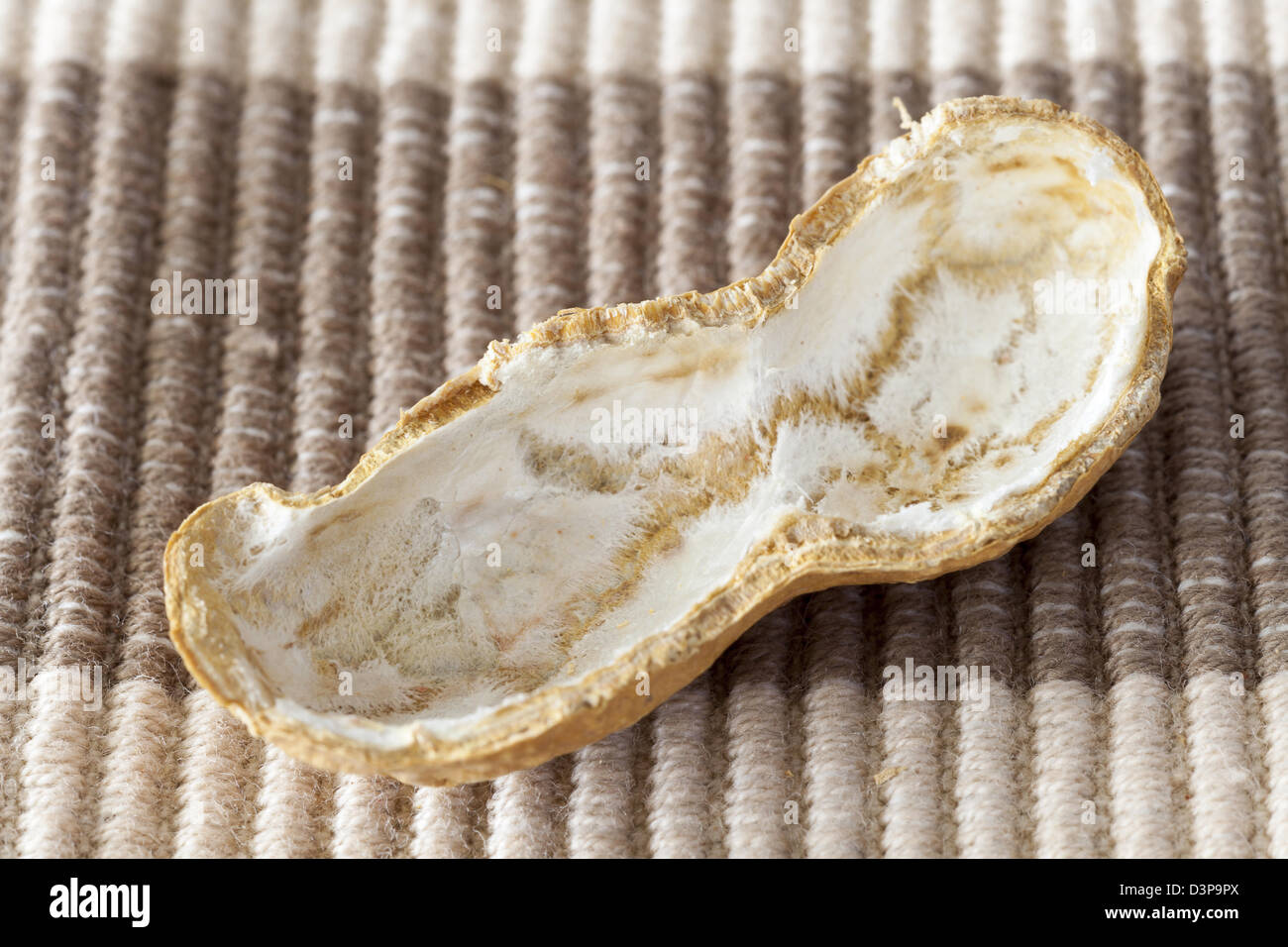 Shell core hi-res stock photography and images - Alamy