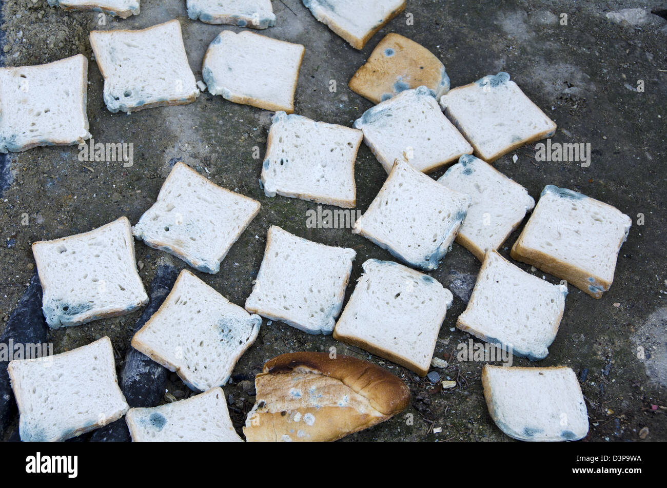 Thrown bread hi-res stock photography and images - Alamy
