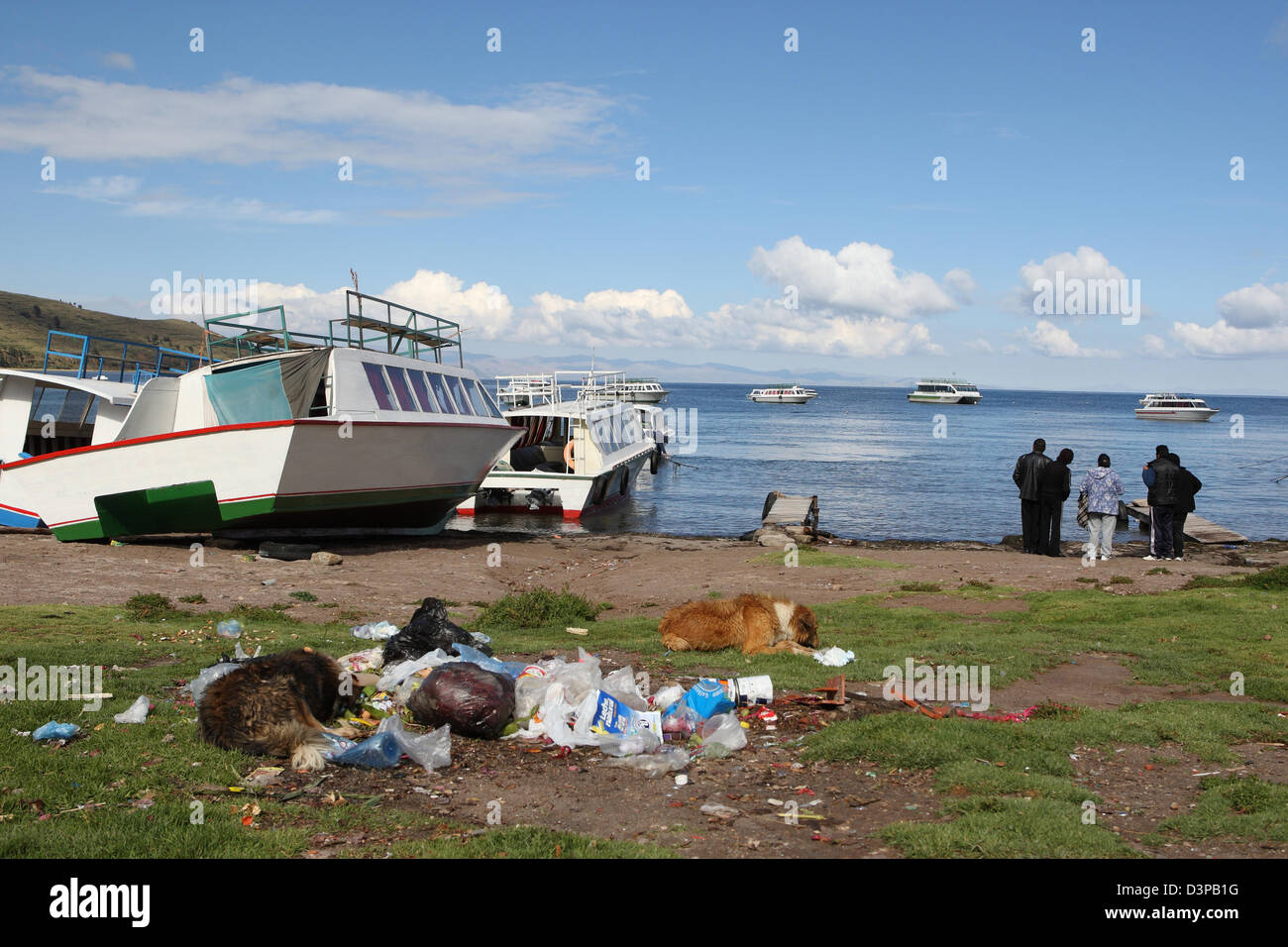 Dog scavenging hi-res stock photography and images - Alamy