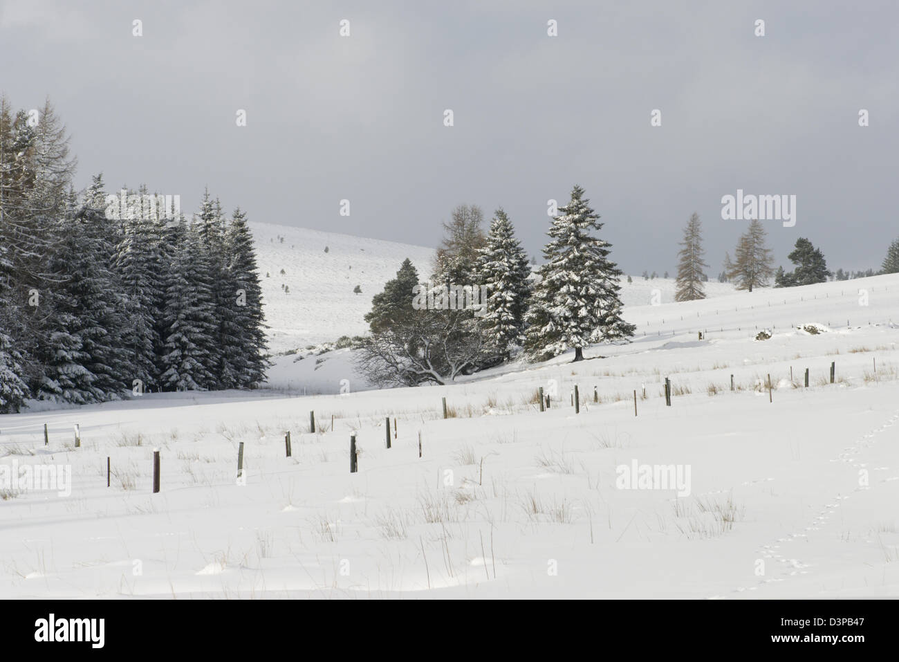A cold wintry scene in rural Aberdeenshire Scotland Stock Photo - Alamy