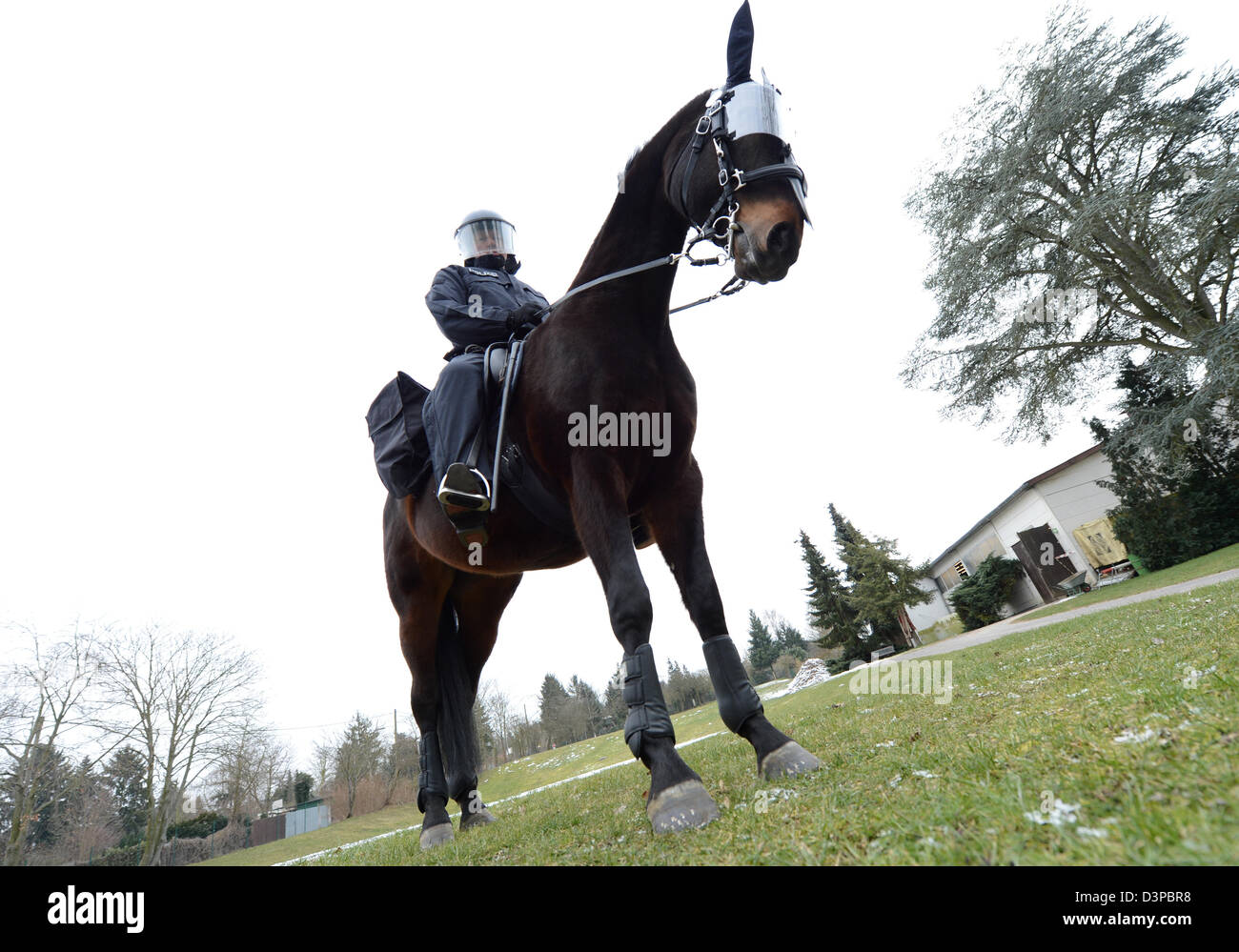 Police horses in riot gear hi-res stock photography and images - Alamy