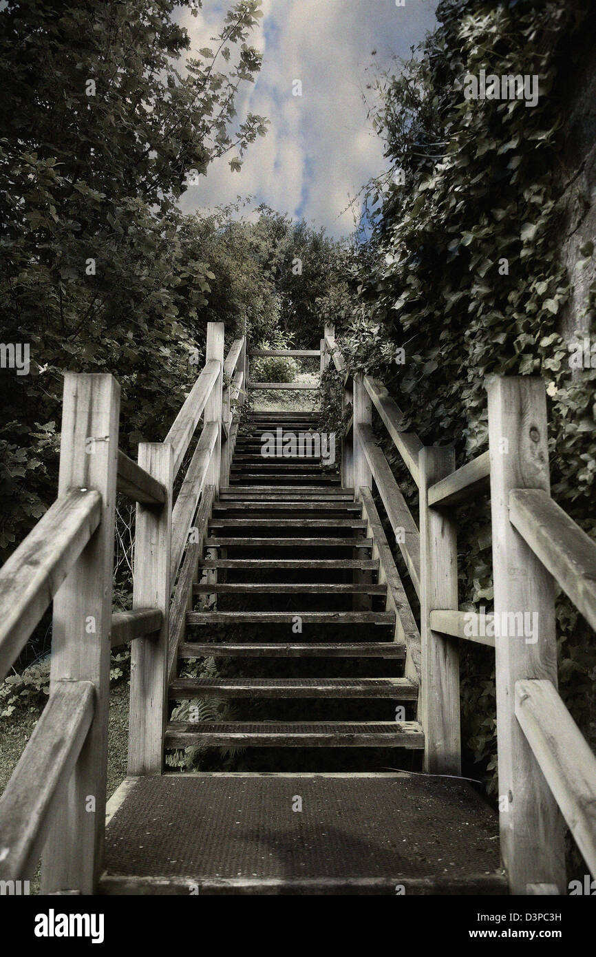 Wooden stairs leading upwards Stock Photo - Alamy