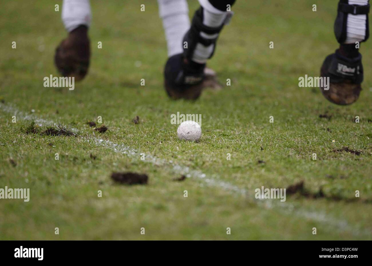 Polo ball hi-res stock photography and images - Alamy