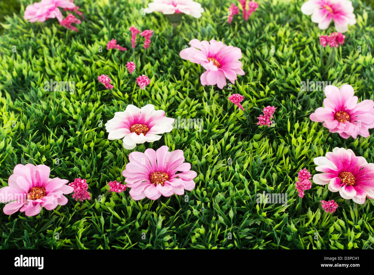 Beautiful flowers on grass Stock Photo - Alamy