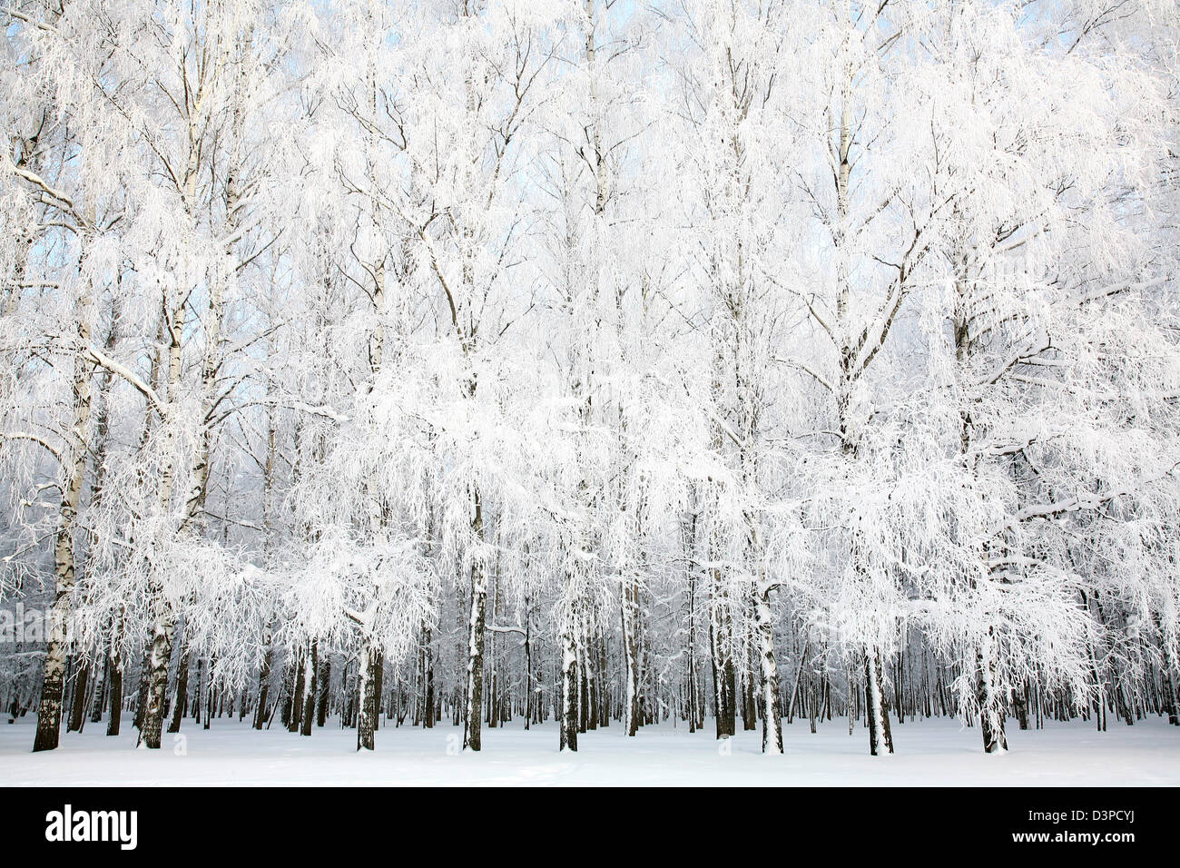 Beautiful russian winter scene hi-res stock photography and images - Alamy