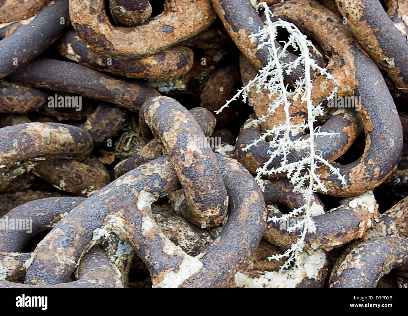 Rusty anchor chains Stock Photo - Alamy