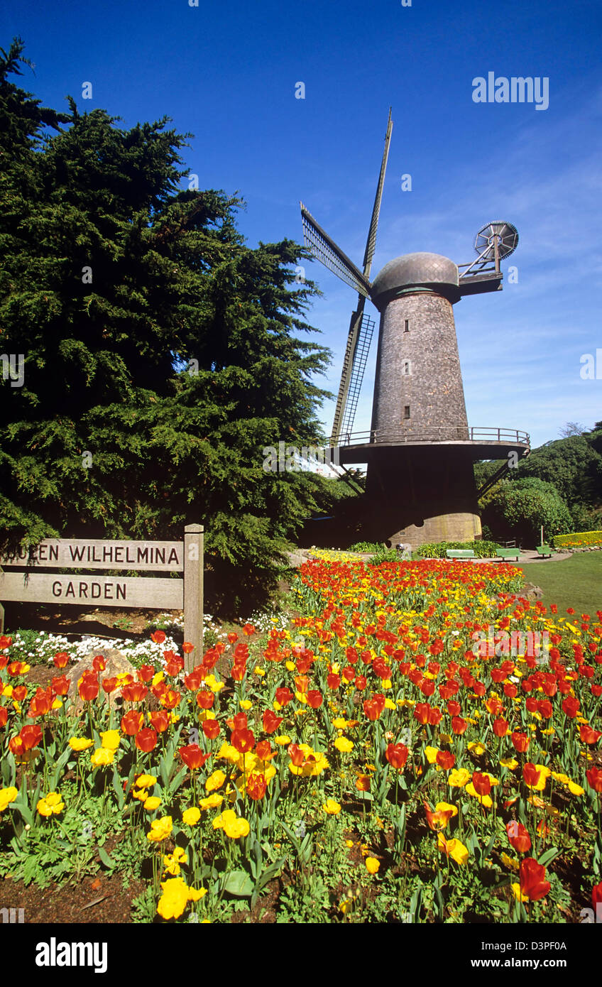 Windmill San Francisco Ca Golden Gate Park Dutch Windmill In San