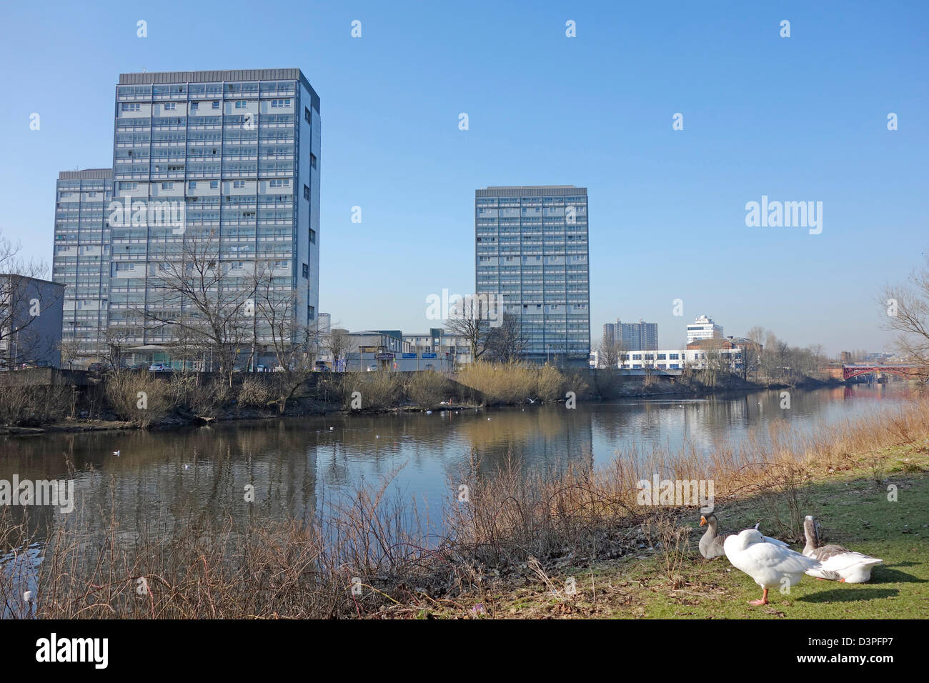 High Rise Flats Gorbals Glasgow High Resolution Stock Photography and ...