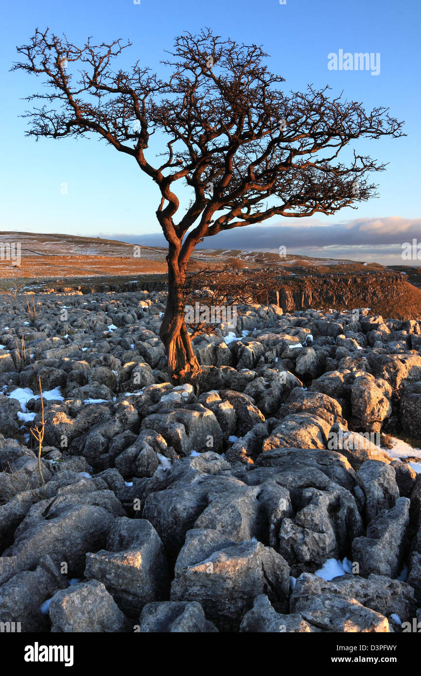 Winter pavement britain hi-res stock photography and images - Alamy