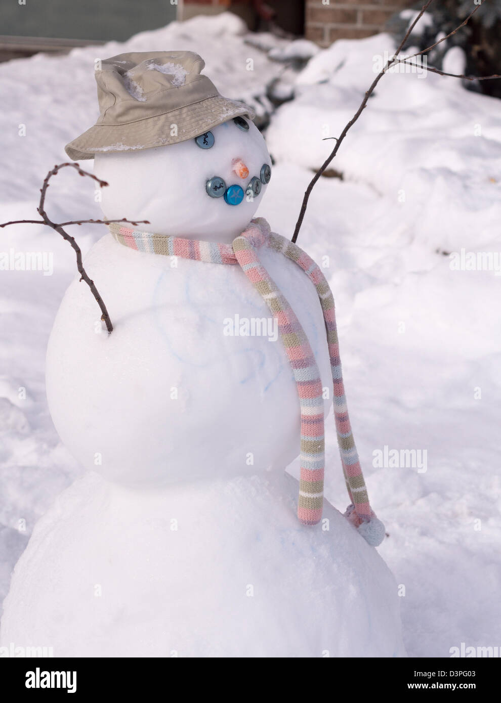 Well dressed snowman. A snowman with twig arms, a carrot nose, pastel ...