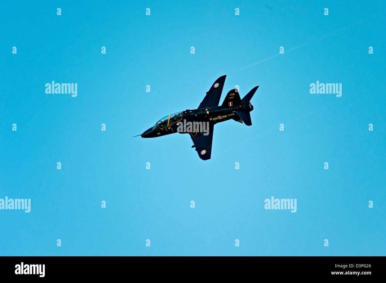 Uk hawk hi-res stock photography and images - Alamy