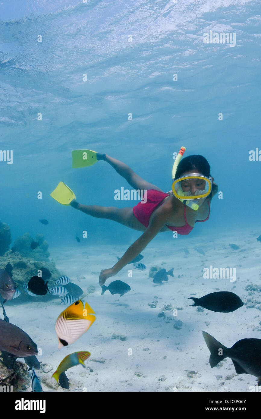 Cook islands fish hi-res stock photography and images - Alamy