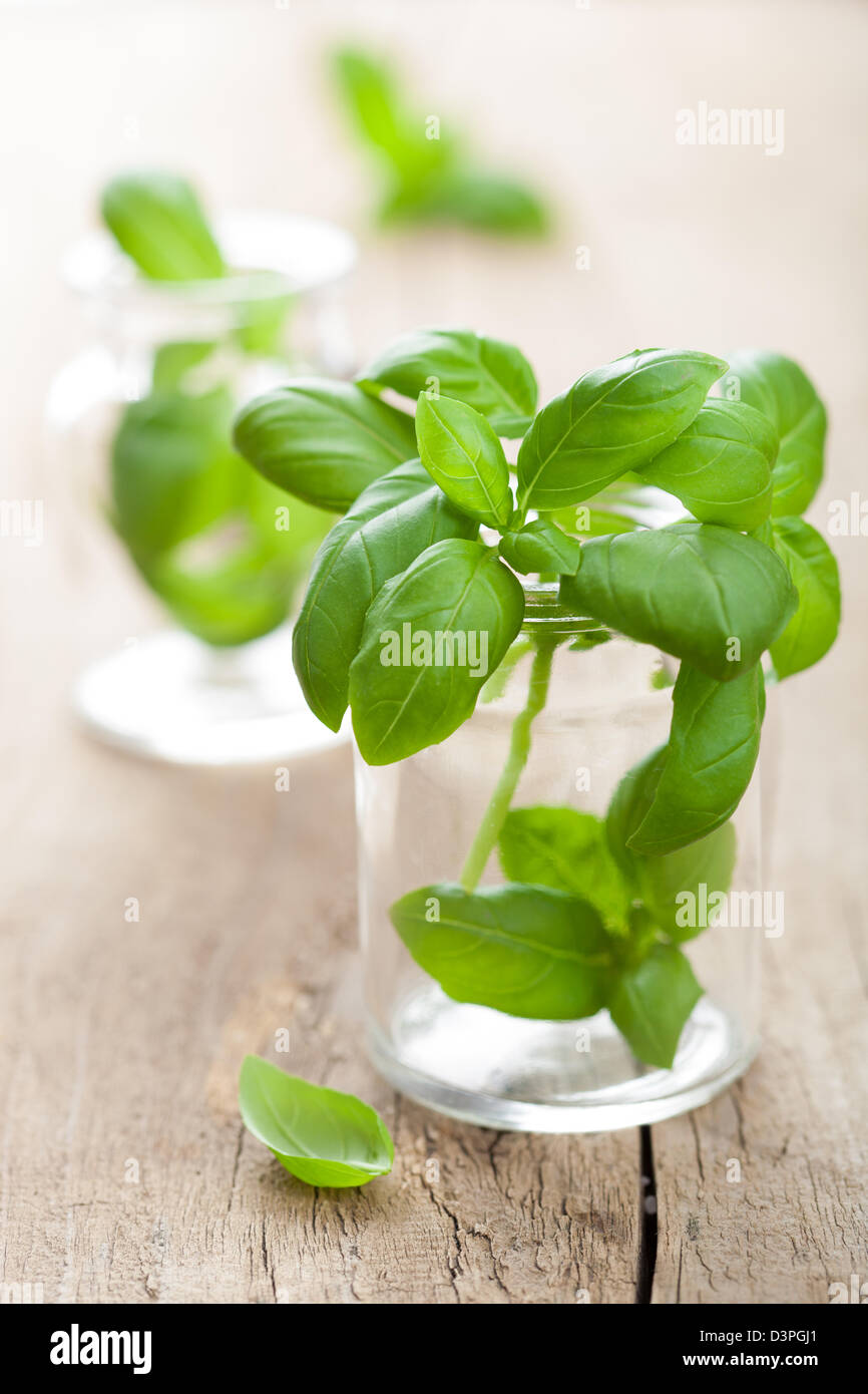 basil in glass Stock Photo - Alamy