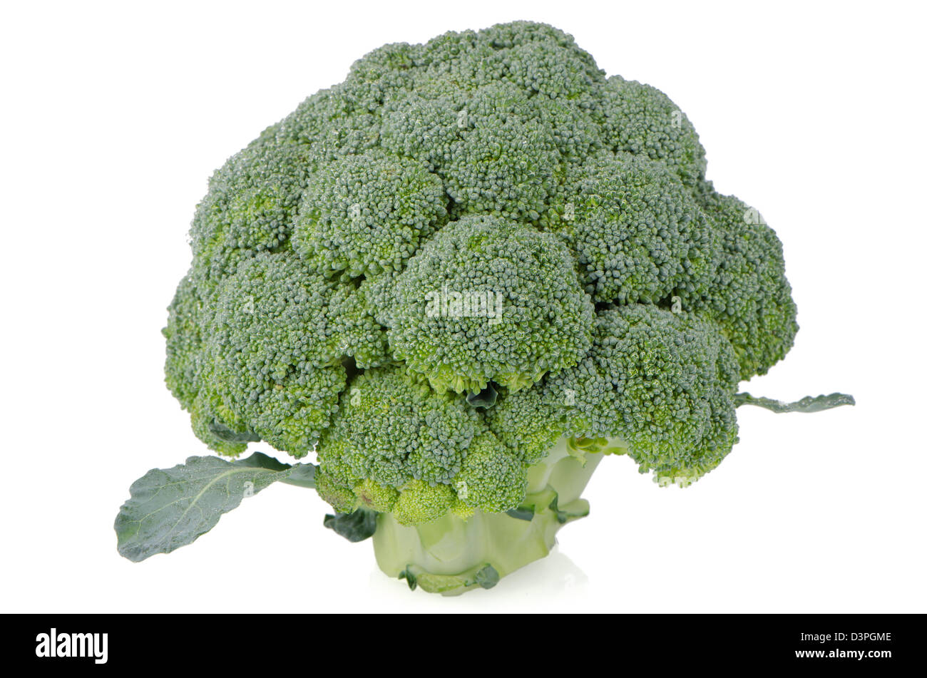 Broccoli single objects vegetables hi-res stock photography and images ...