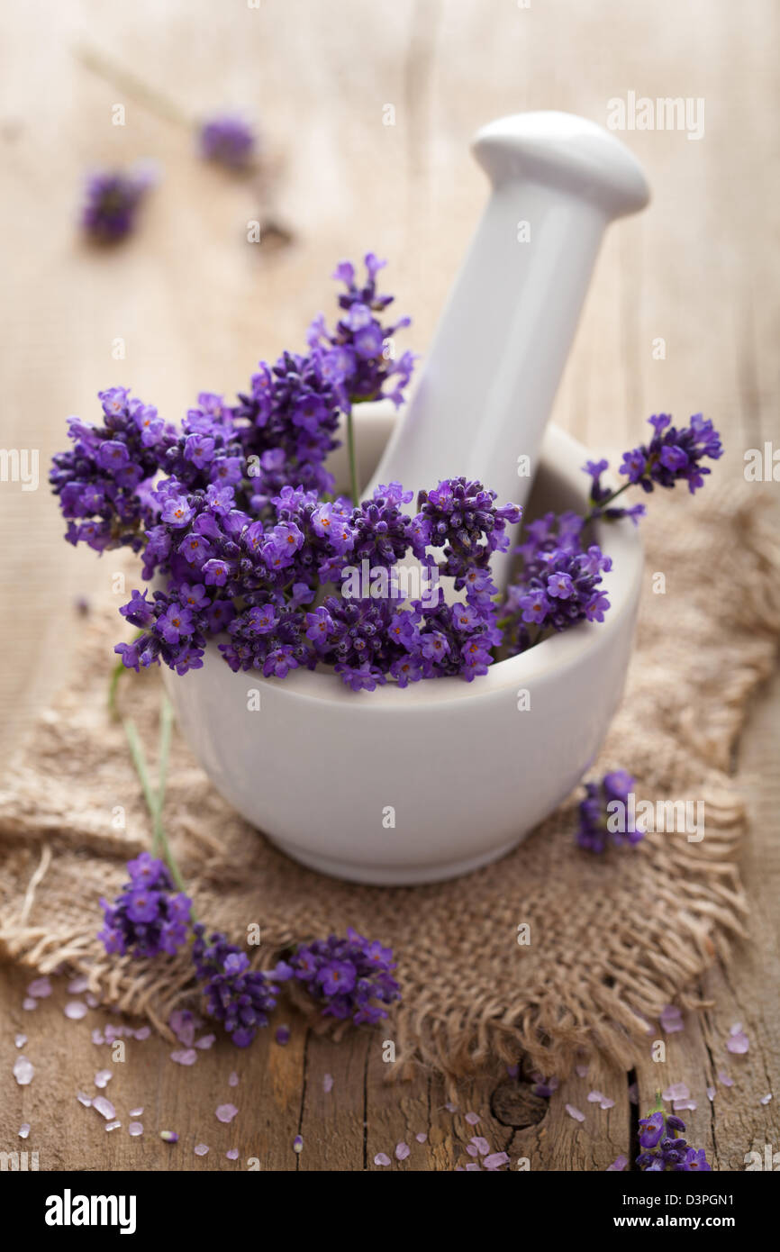 fresh lavender in mortar Stock Photo - Alamy