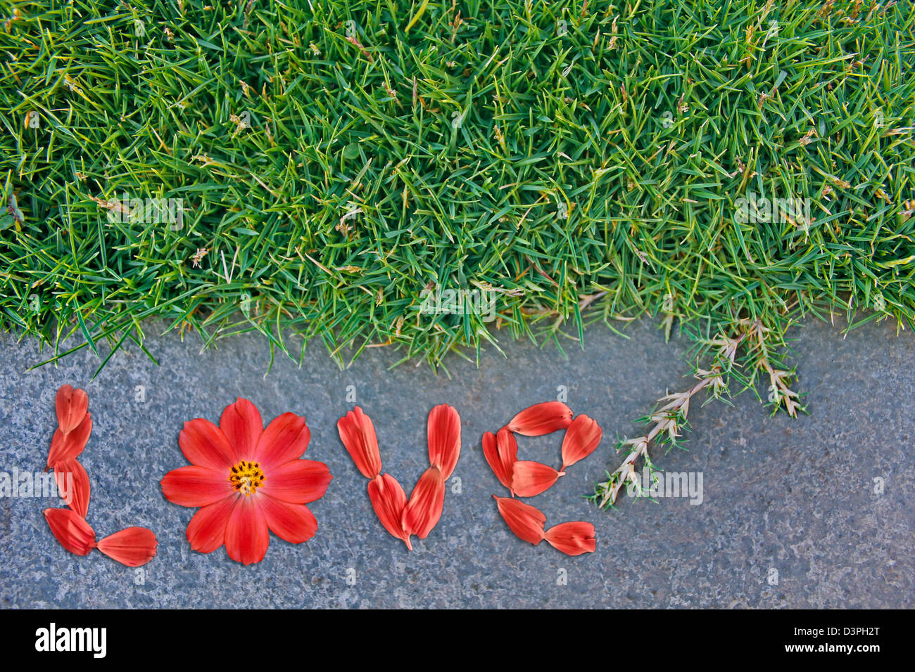 Lawn Grass love concept Stock Photo - Alamy