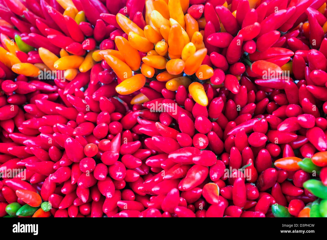 Chilli peppers for sale at market hi-res stock photography and images ...