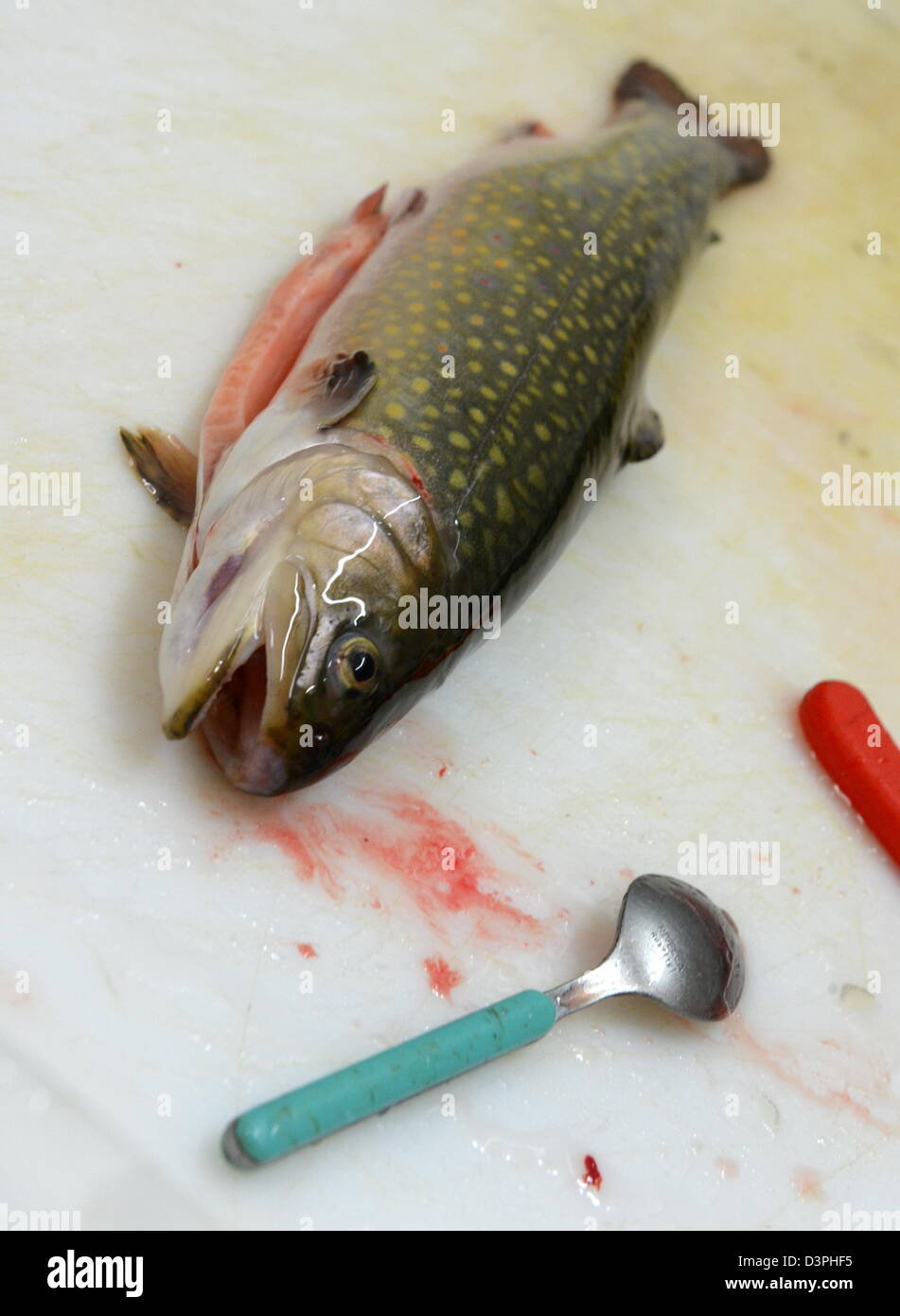 A fish is being fillet in the fresh food market hall in Frankfurt Main ...
