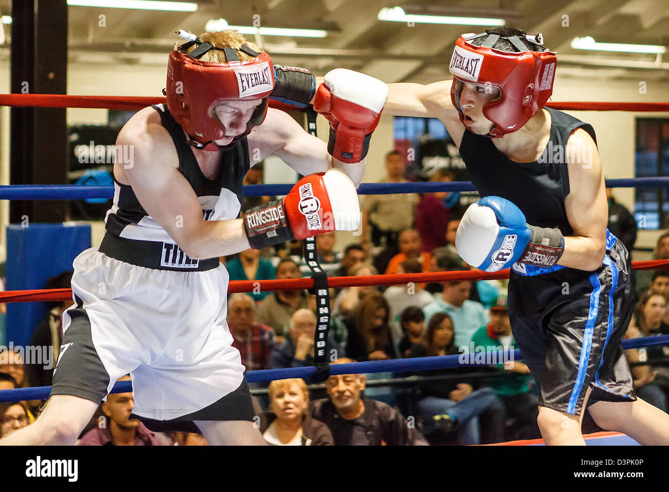 Raging bull, boxing hi-res stock photography and images - Alamy