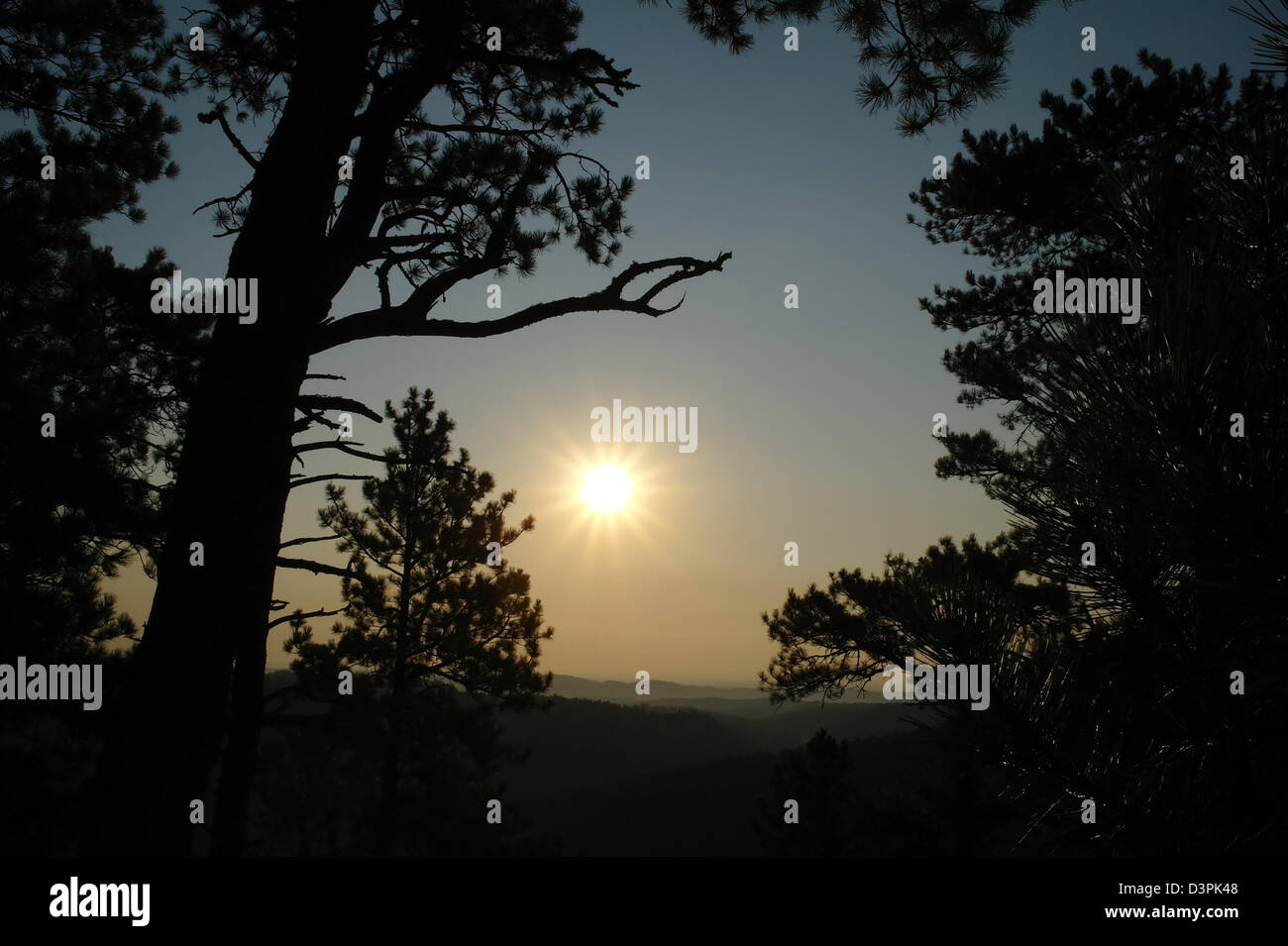 View yellow sun star rising over distant hills through black forest ...