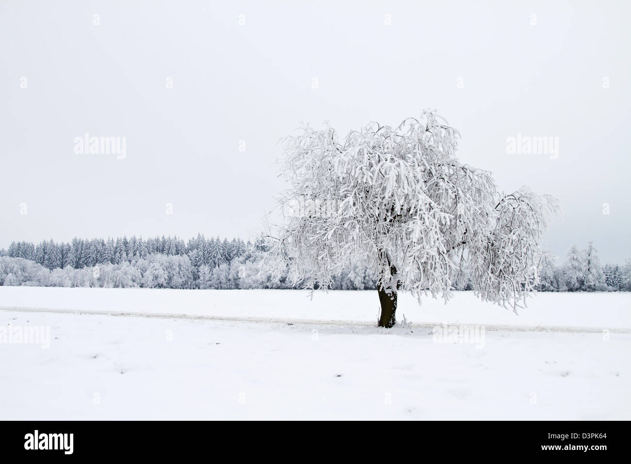 Winter landscape with snow and trees Stock Photo - Alamy