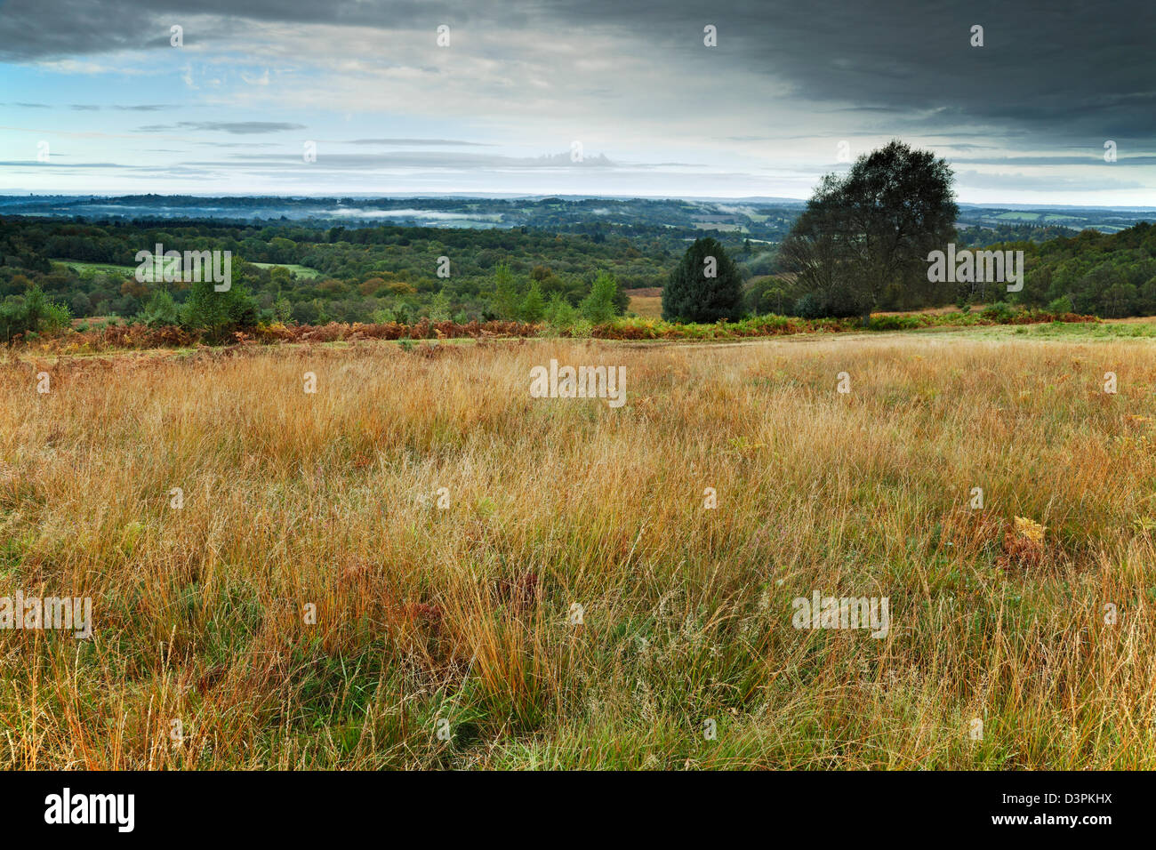 View towards ashdown forest hi-res stock photography and images - Alamy