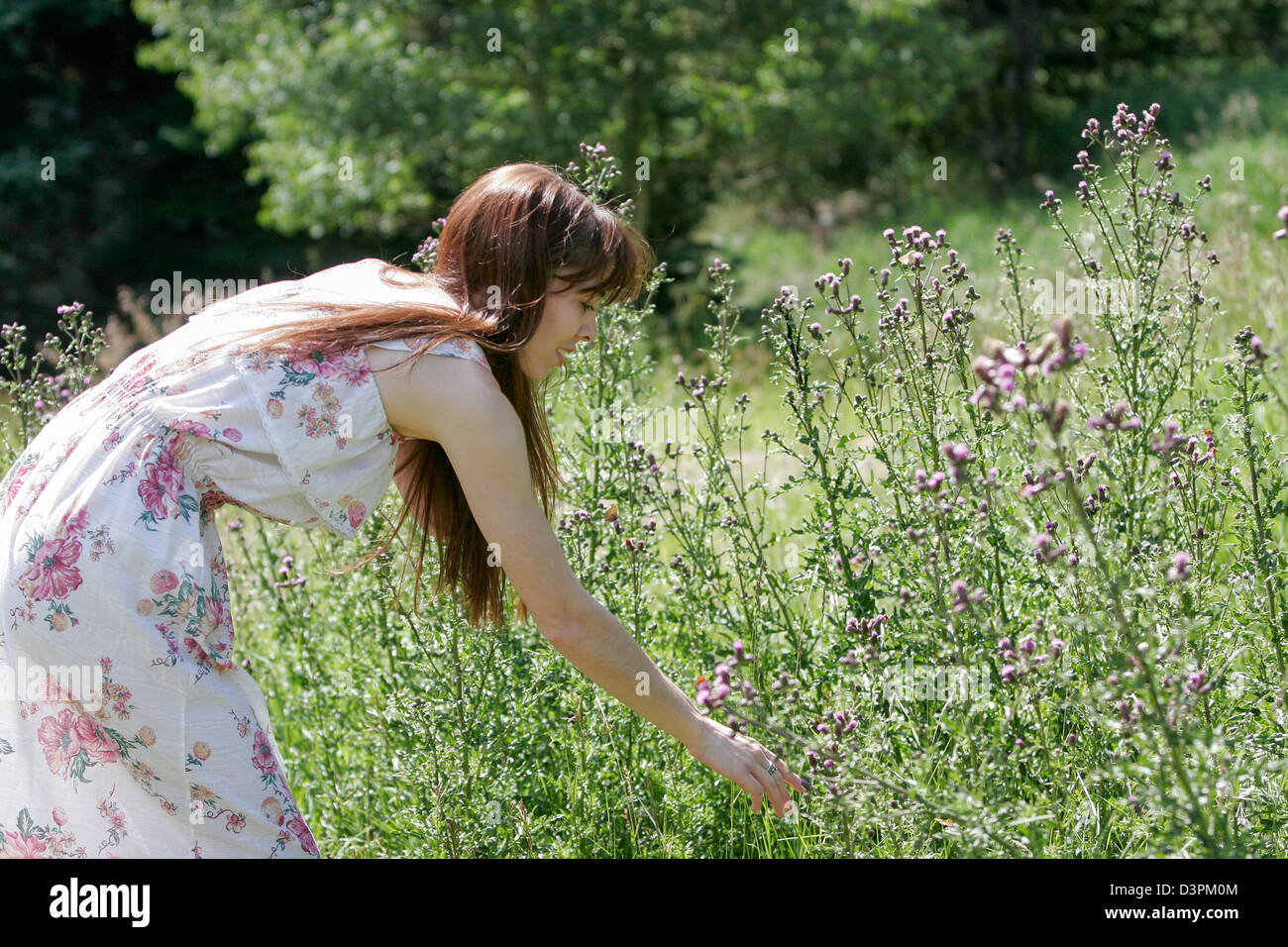 Young woman up in the Colorado mountains on a beautiful summer day ...