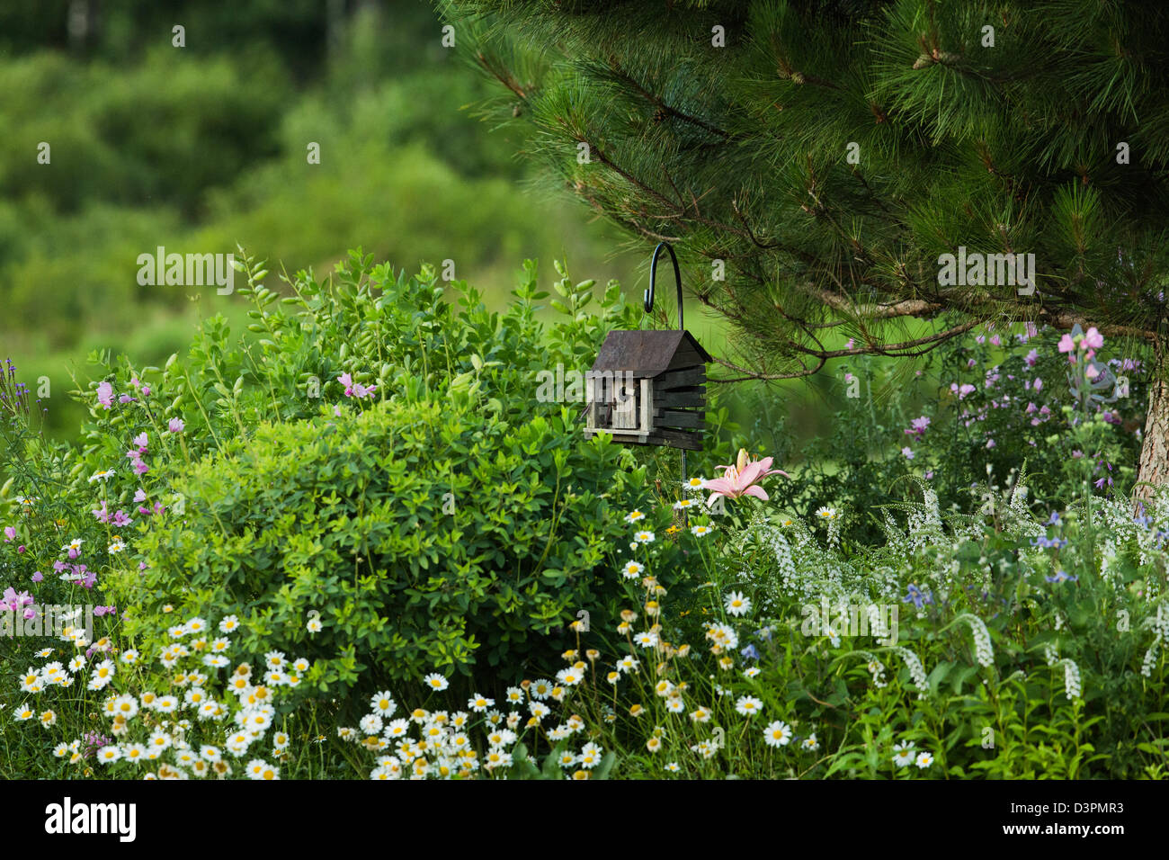 Rustic decorative birdhouse in a rural garden Stock Photo - Alamy
