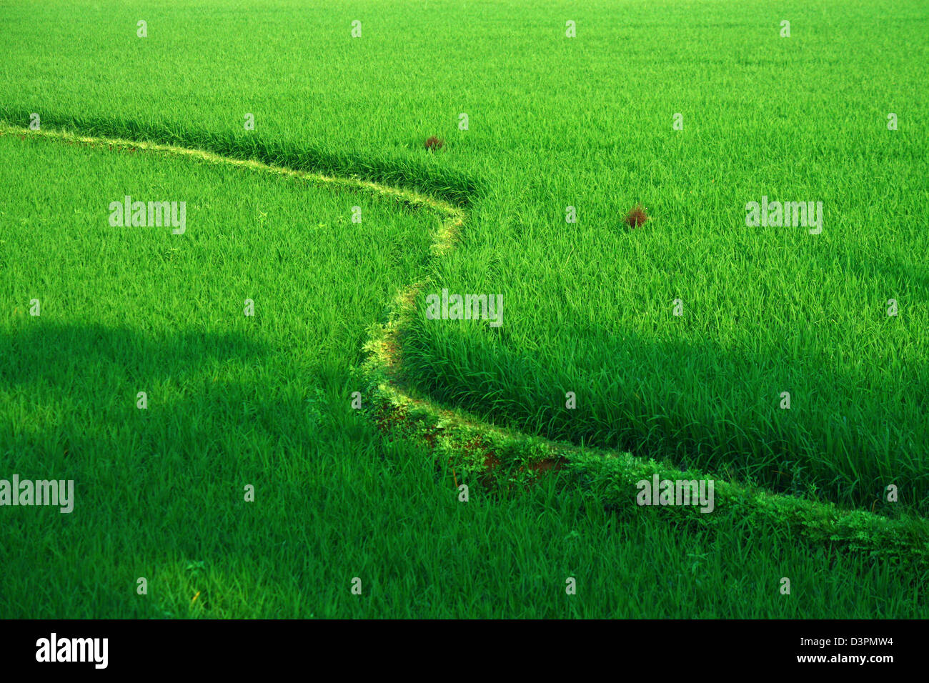 Terrace farming in india hi-res stock photography and images - Alamy
