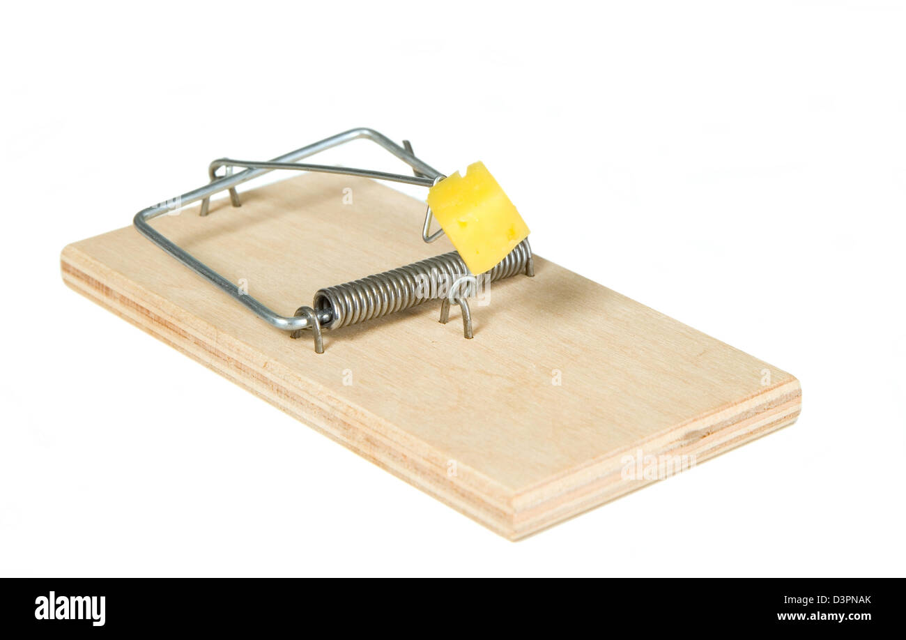 A mouse trap with cheese on it Stock Photo - Alamy