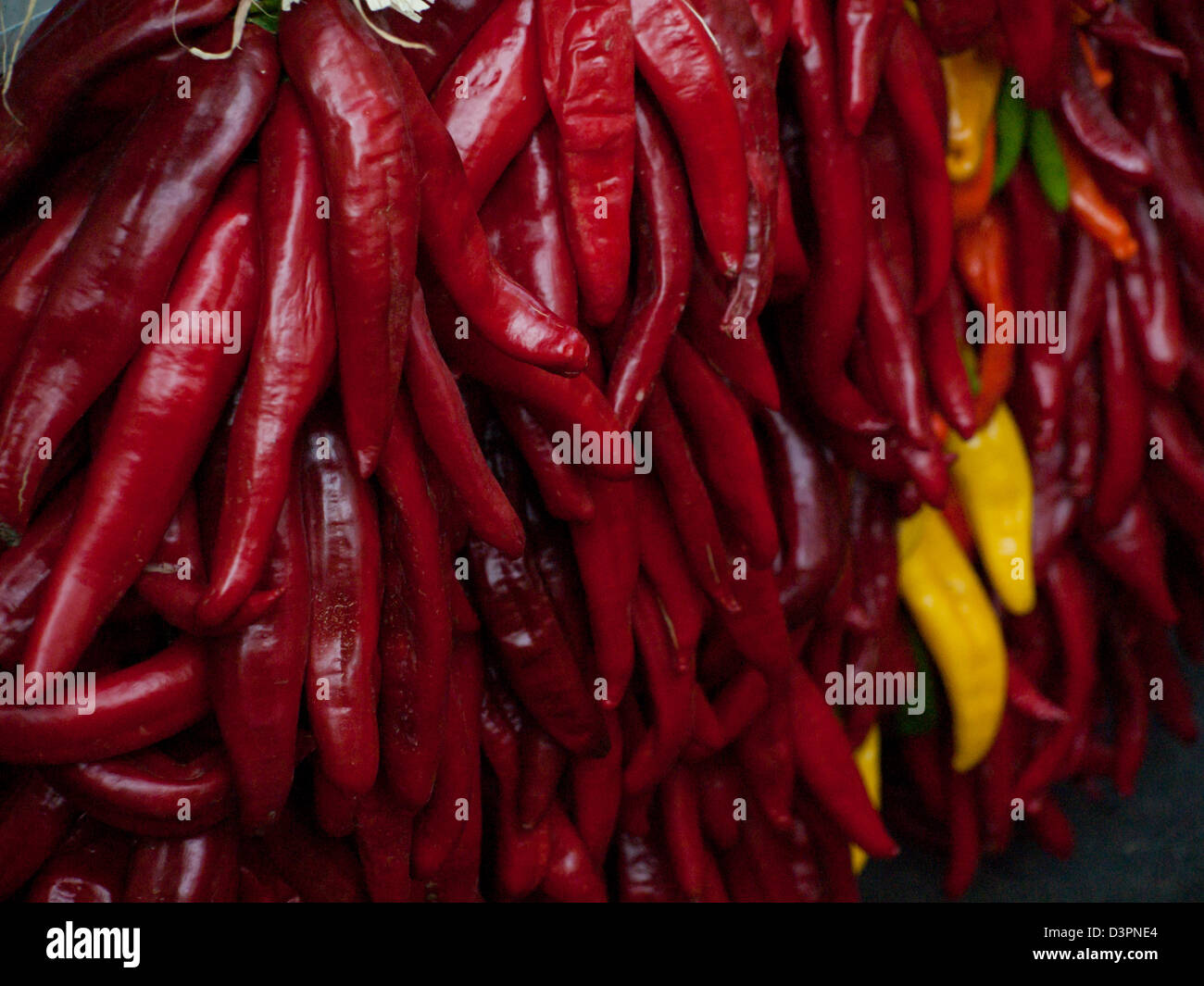 Fresh rista on display at the local farmers market. Legend has it, in ...