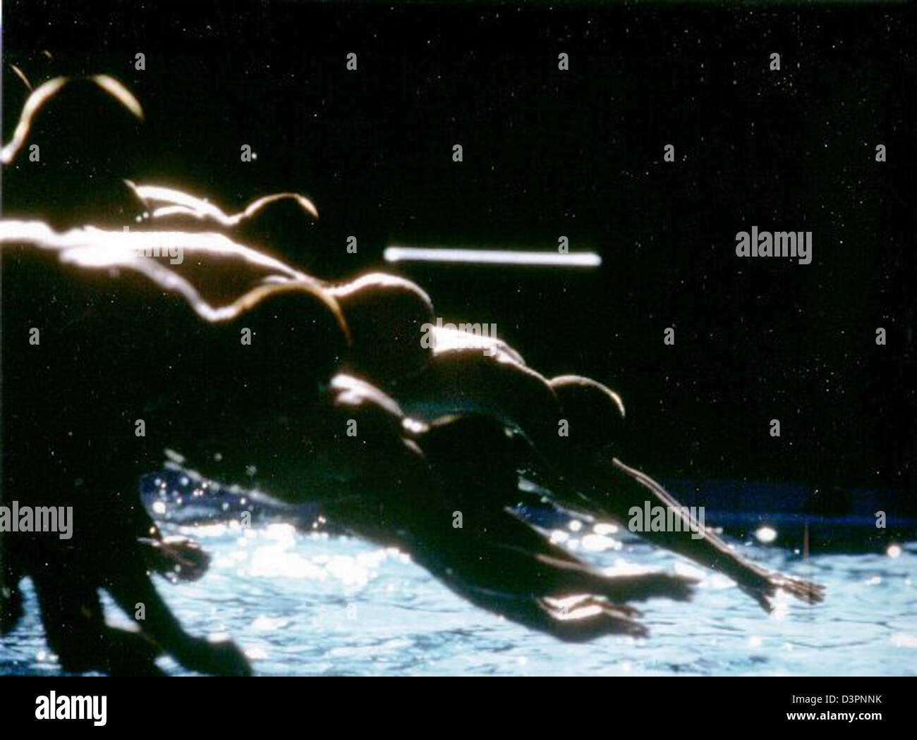 This image depicts Buds' training, specifically focusing on their water ...