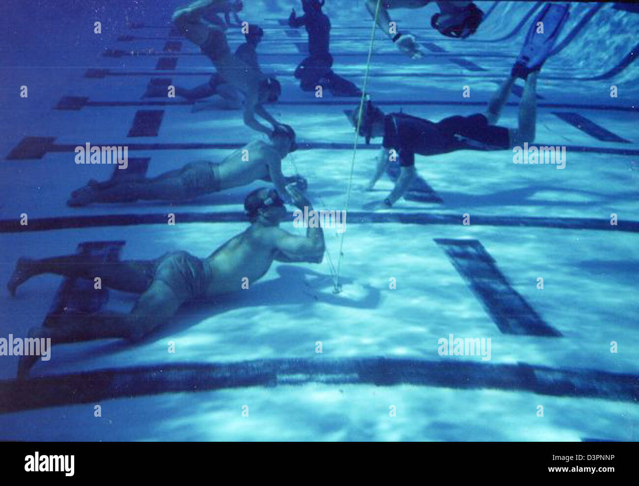 Buds training pool practice Stock Photo - Alamy