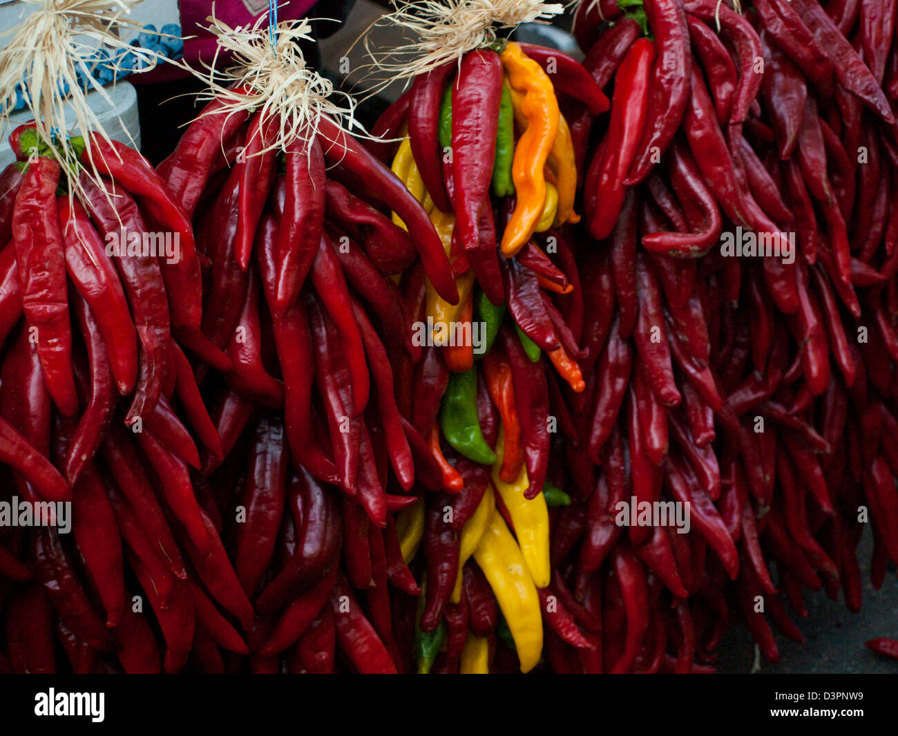 Fresh rista on display at the local farmers market. Legend has it, in ...