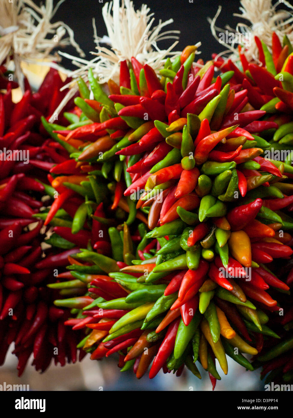 Fresh rista on display at the local farmers market. Legend has it, in ...