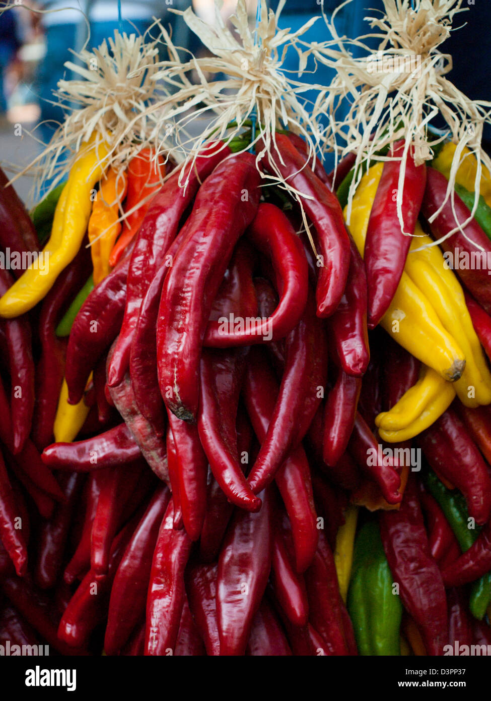 Fresh rista on display at the local farmers market. Legend has it, in ...