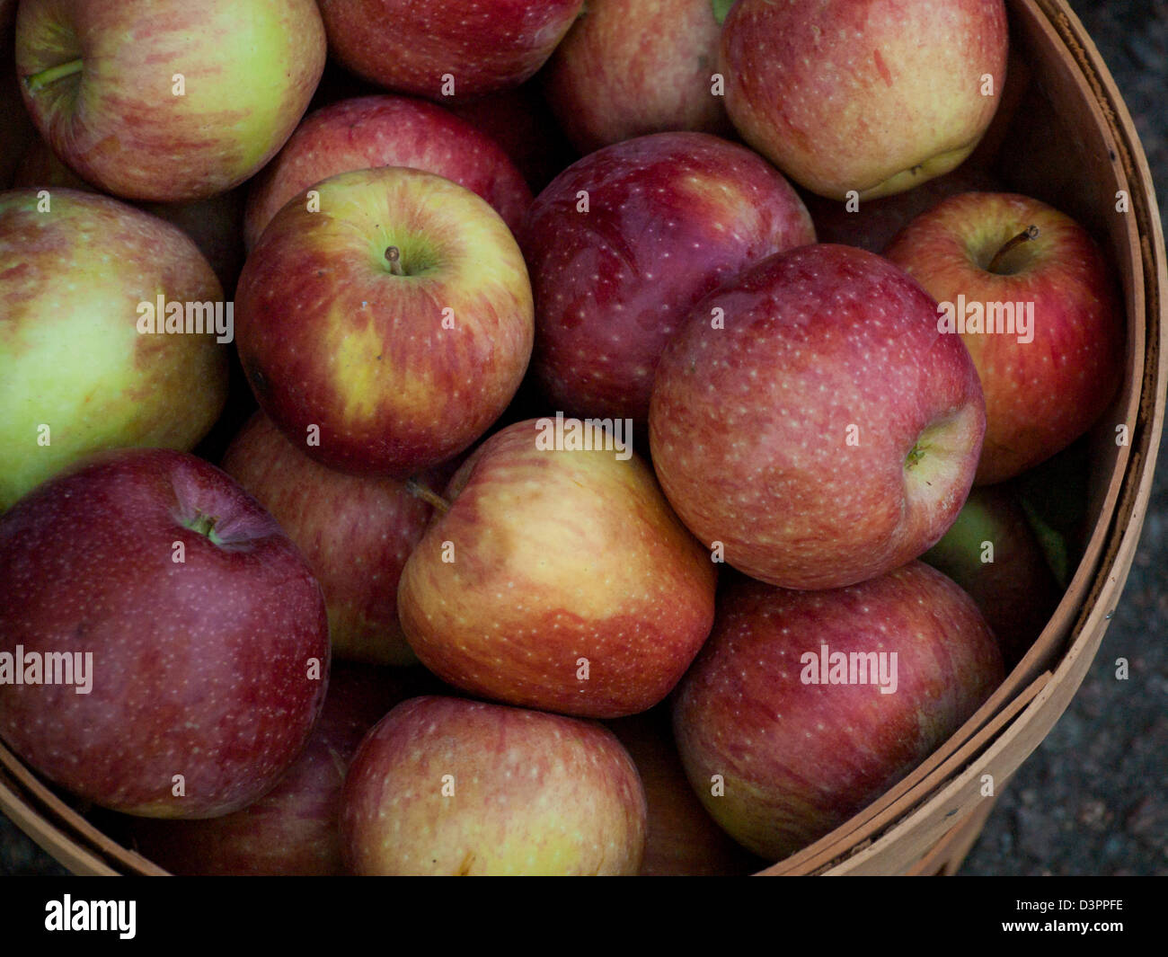 Fresh apples at the local farmers market. Farmers markets are a ...