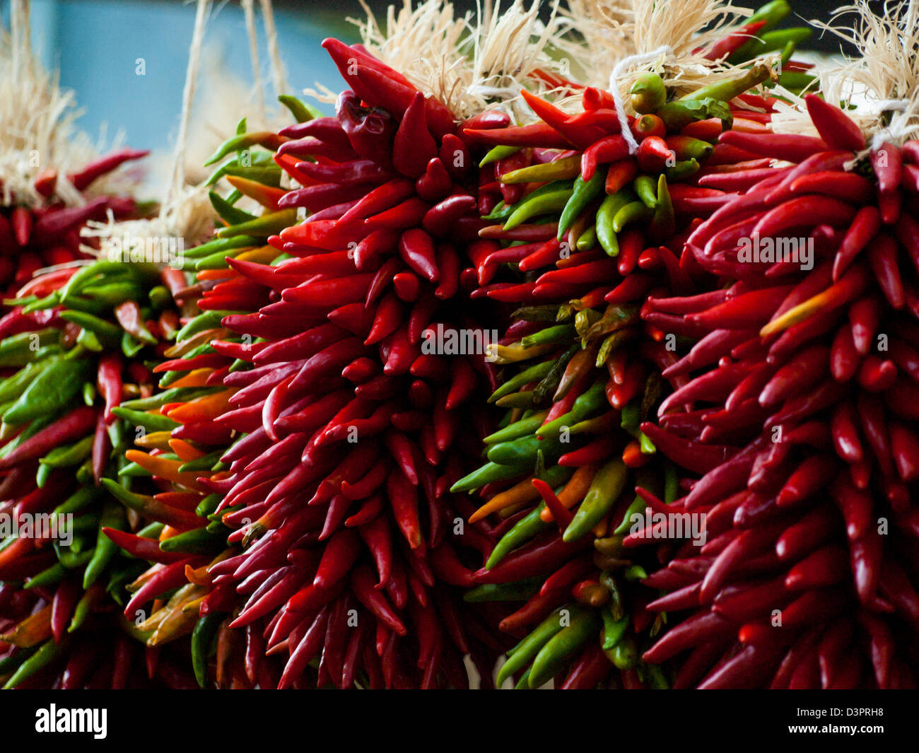 Chile rista hi-res stock photography and images - Alamy
