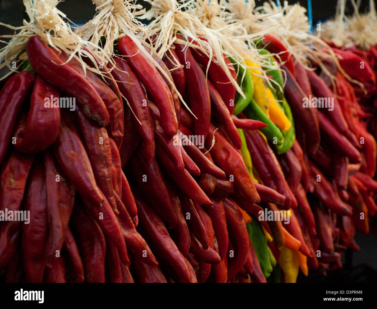 Fresh rista on display at the local farmers market. Legend has it, in ...