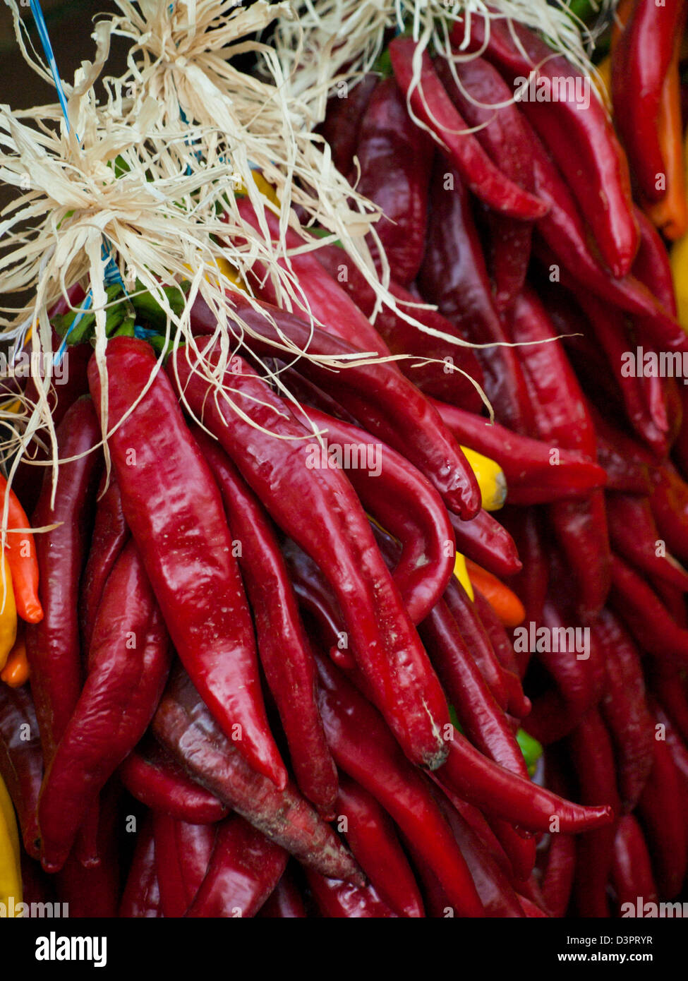Fresh rista on display at the local farmers market. Legend has it, in ...