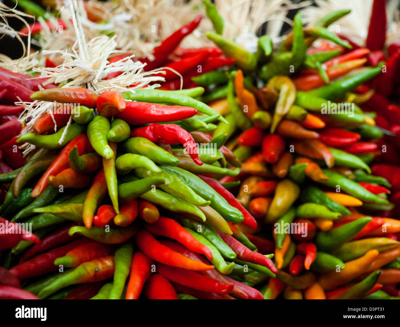 Fresh rista on display at the local farmers market. Legend has it, in ...