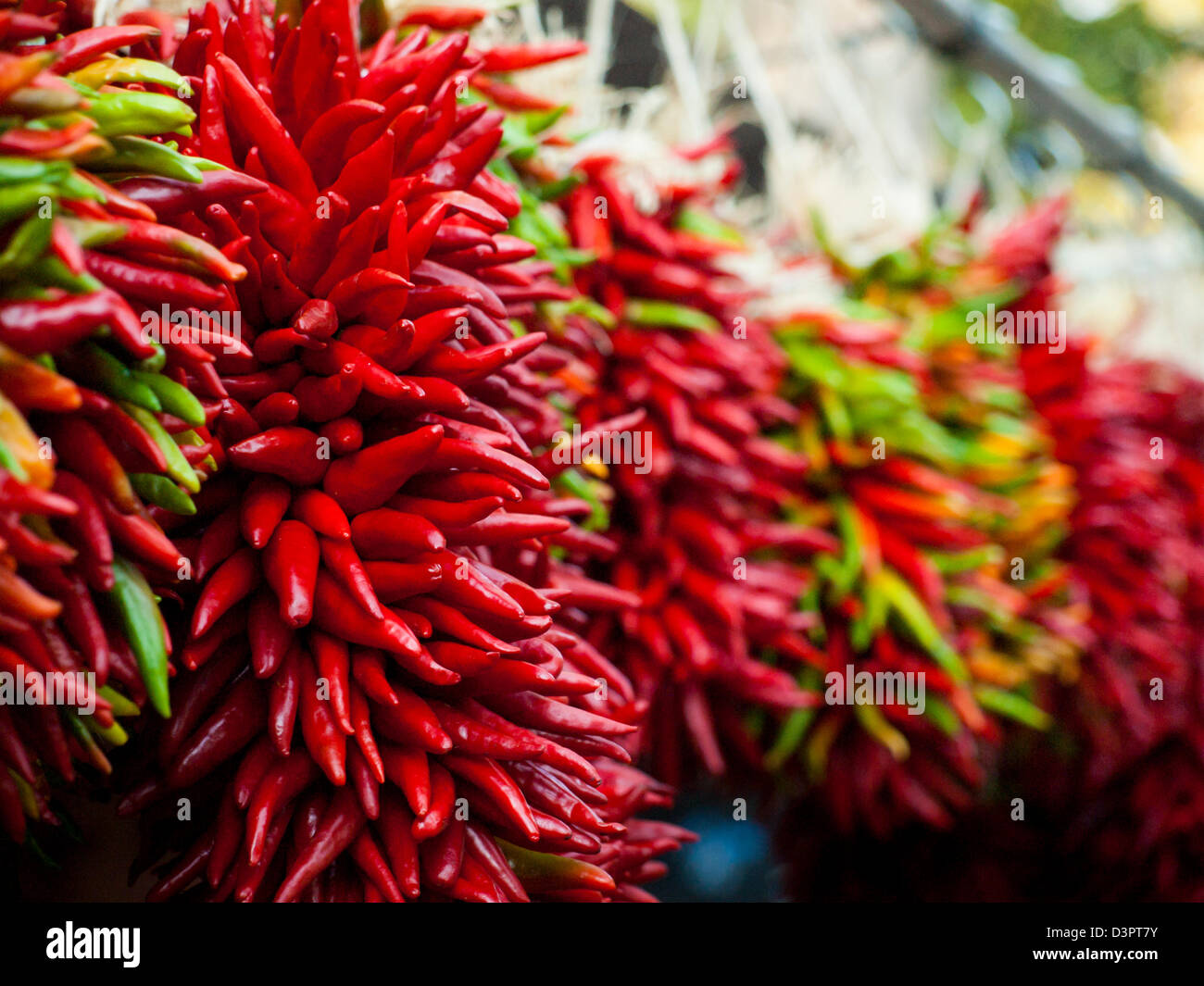 Chile Rista High Resolution Stock Photography and Images - Alamy