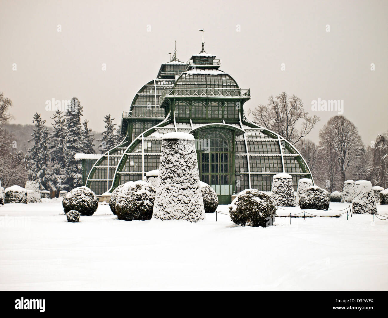 Vienna plants hi-res stock photography and images - Alamy