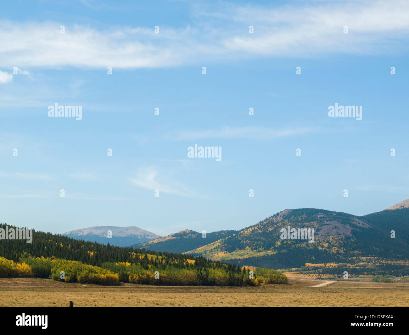 Mountains covered with bright yellow color in Autumn Stock Photo - Alamy