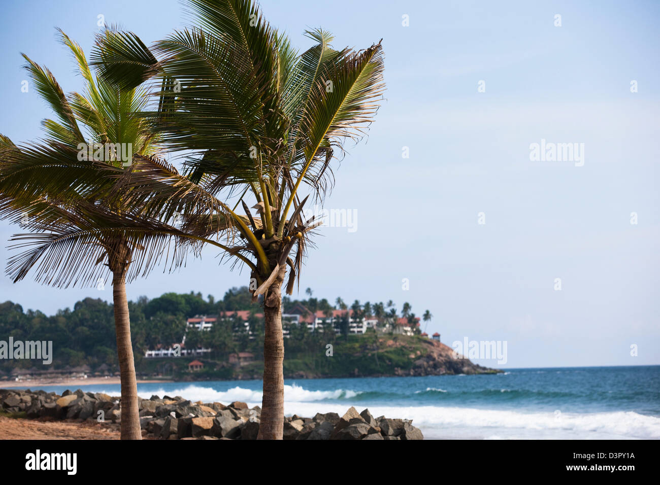 Palm trees on the beach, Arabian Sea, Kerala, India Stock Photo - Alamy