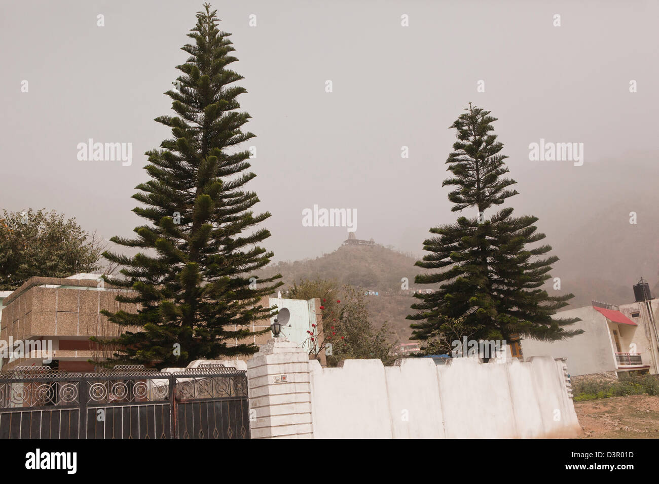 Trees, Jammu And Kashmir, India Stock Photo - Alamy